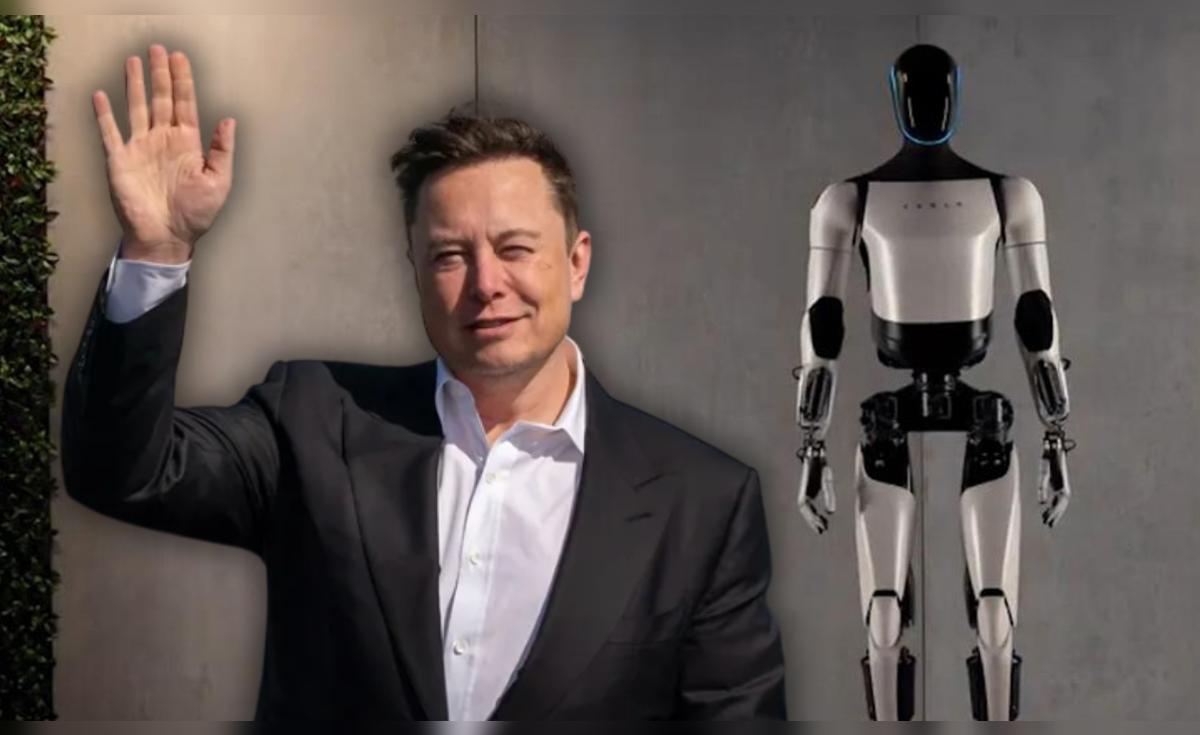 Así es Optimus, el robot doméstico de Musk que cocina, limpia y será tu ...