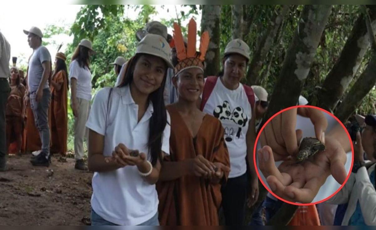 Colegio peruano se coloca entre los mejores del mundo gracias a su ...