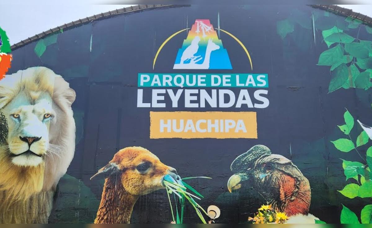 Zoológico Huachipa: conoce los precios y quiénes tendrán pase libre | Sociedad | La República