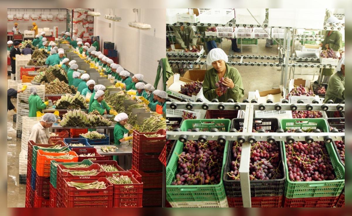 Agroexportaciones regionales rompen récord: suman US$3.248 millones y ...