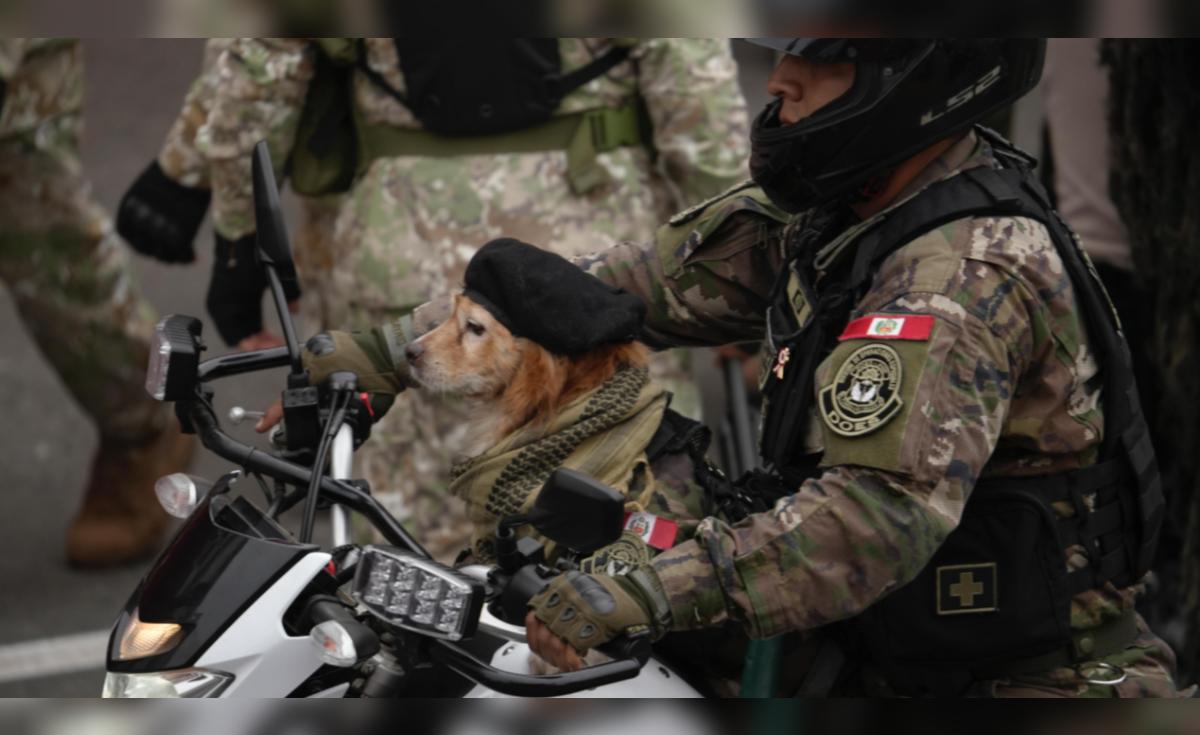 ¡Adiós, Chato! Famoso perrito paracaidista de la PNP participa por ...