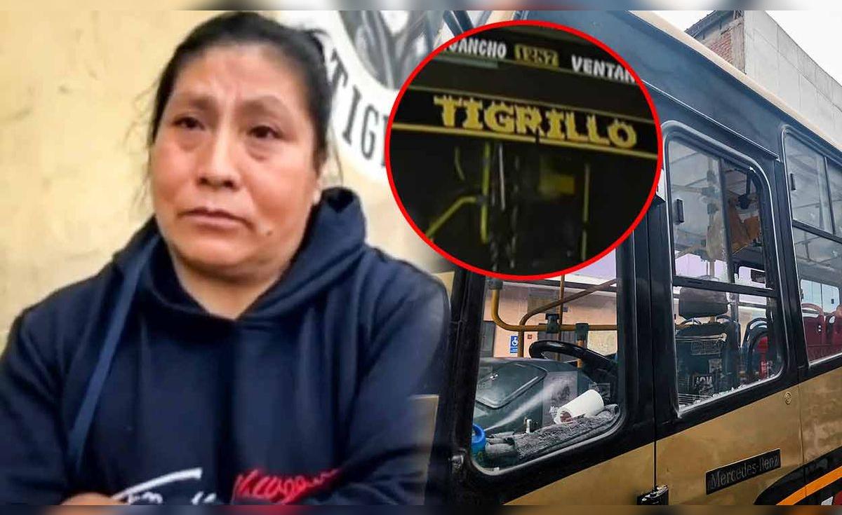 Madre de cobrador del bus 'Tigrillo' asesinado en SMP denuncia ...