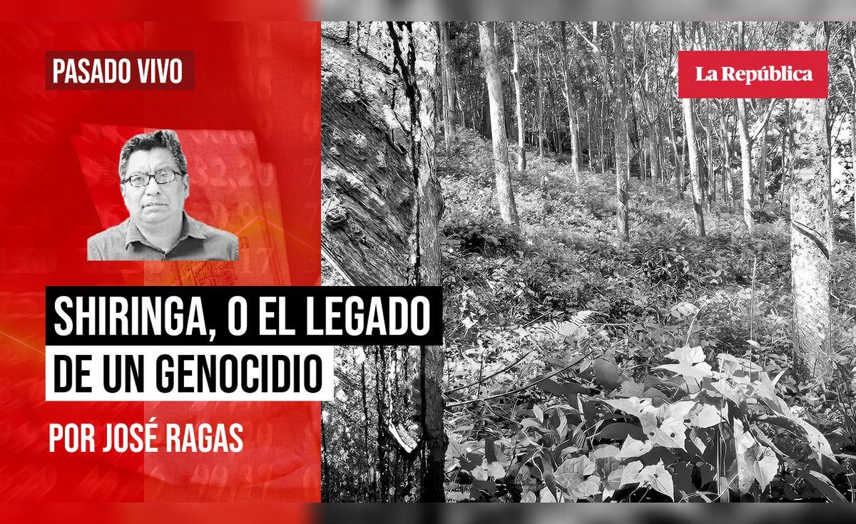 Shiringa, o el legado de un genocidio, por José Ragas hnews | Opinión ...