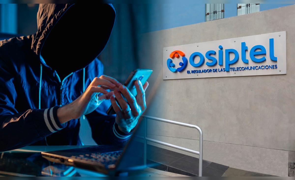 Nueva Ley de Delitos Informáticos: 5 a 9 años de prisión por proveer ...