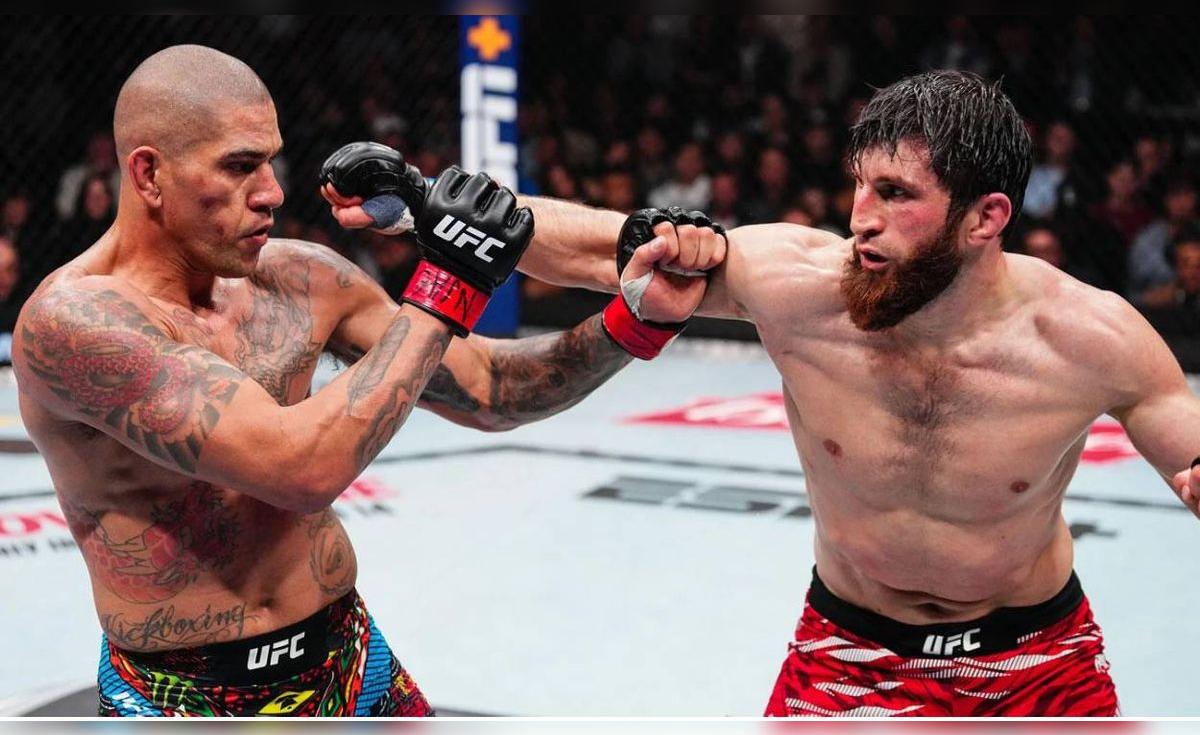 Alex Pereria vs Magomed Ankalaev 2 por la UFC 320: hora y canales para ...