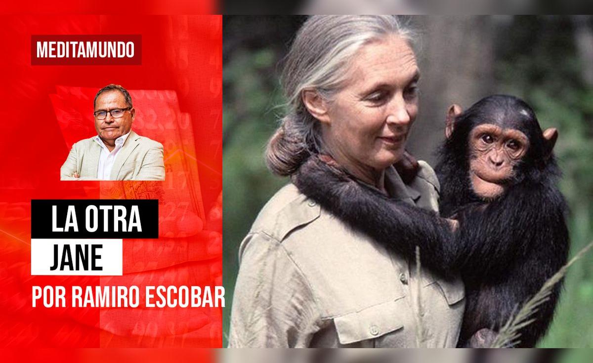 La otra Jane, por Ramiro Escobar hnews | Opinión | La República