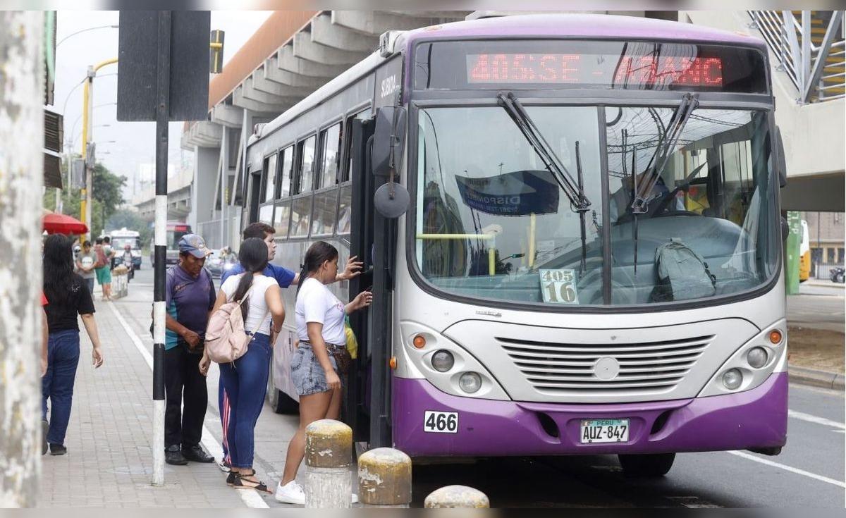 Corredor Morado implementará nueva ruta extraordinaria que conectará a ...