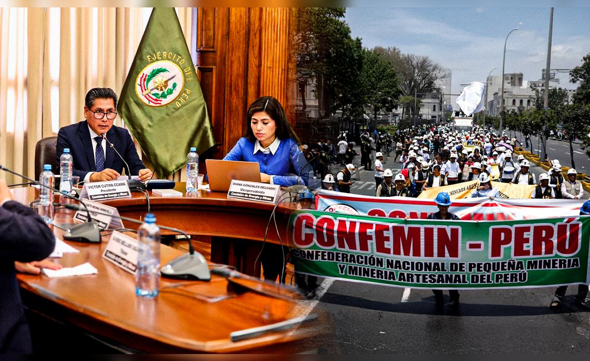 Reinfo: avanza en el Congreso dictamen para ampliar registro en favor ...