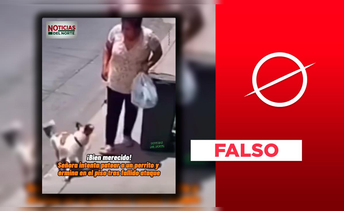 Video viral de mujer que cae tras intentar agredir a un perro fue ...