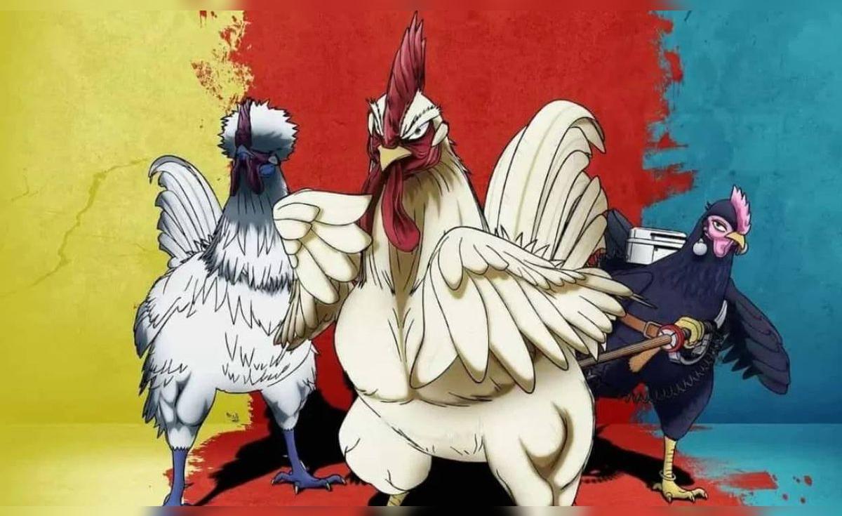 ¿Dónde ver 'Rooster Fighter'?: anime sobre un gallo que lucha contra ...