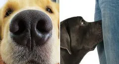 Inés Ramírez, la mujer que se hizo una cesárea a sí misma y sobrevivió ...