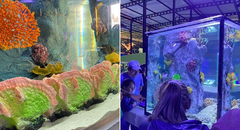 Supernova: precios y cómo llegar al parque de diversiones de San Miguel ...