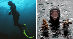 Un extraño tiburón de piel naranja y ojos blancos es descubierto por ...