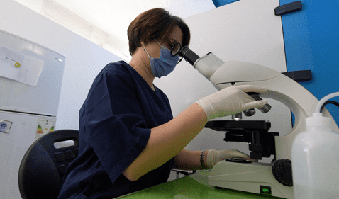 Citología: qué estudia, para qué sirve y qué hace un citólogo ...