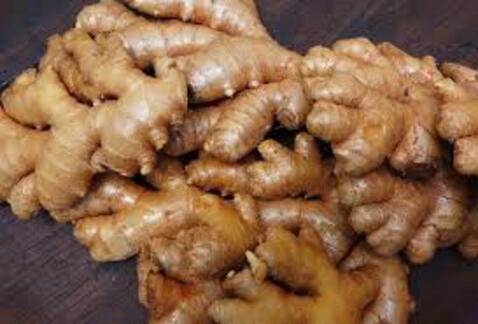 Kion o jenjibre: para qué es bueno el kion, beneficios, propiedades y ...