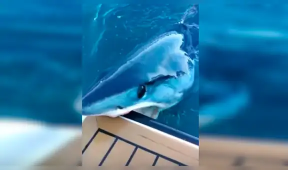 ¿Quién es JH de la Cruz?: el streamer que se hizo viral en TikTok y hoy ...
