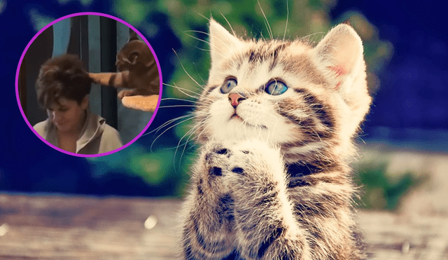 Facebook viral: gato religioso 'bendice' a miembros de su familia y ...