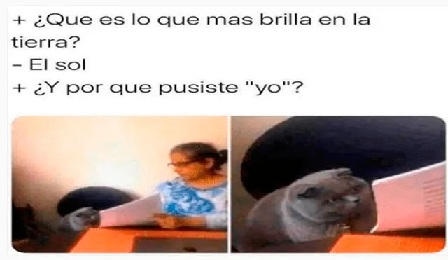 Facebook viral: Conoce los mejores memes del 2019 que hicieron ...