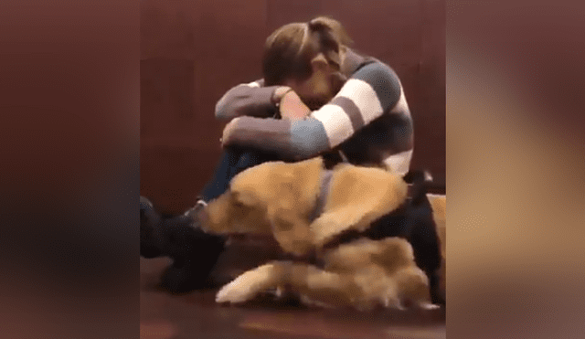 Facebook viral: chica sufre decepción amorosa y su perro la consuela ...