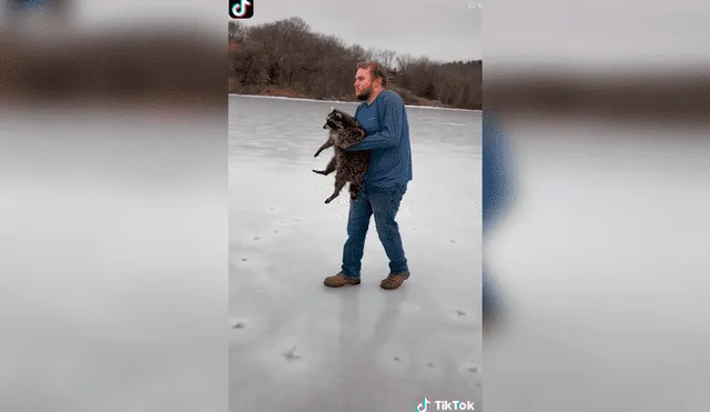 TikTok viral: Mapache tiene temeraria reacción al ser rescatado de lago ...