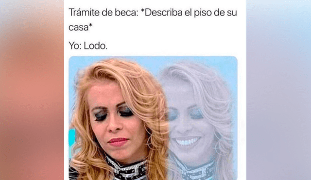 Facebook viral: Conoce los mejores memes del 2019 que hicieron ...