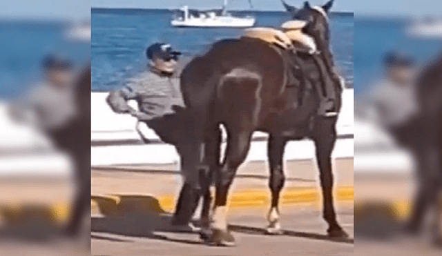 Mexico: Captan a jinete pateando y golpeando a su caballo para que ...