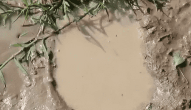 YouTube viral: chico mete la mano en misterioso lodo y se topa con ...