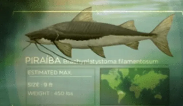 YouTube viral: pescador retira su anzuelo del agua y captura a enorme ...