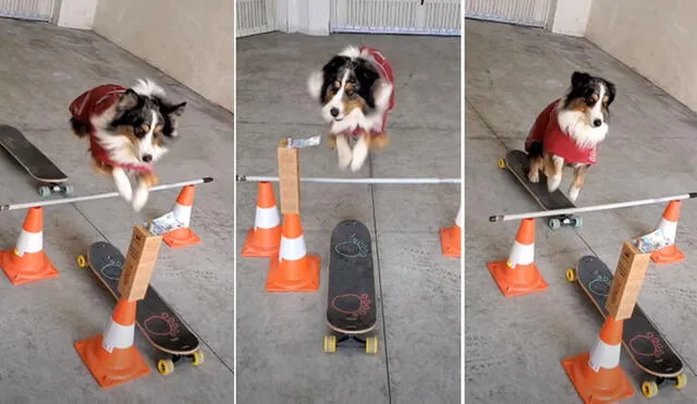 Facebook viral: perrito sorprende con su destreza para realizar ...