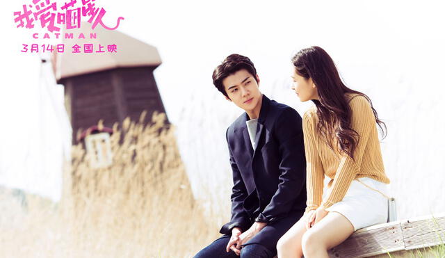 Sehun en Catman: todo sobre el estreno de la película del maknae de EXO ...