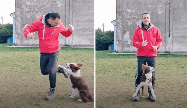 TikTok viral: hace coreografía de baile con su perro y video causa ...