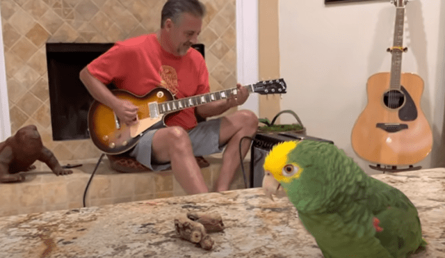 YouTube viral: loro se roba las miradas al ‘cantar’ tras escuchar el ...