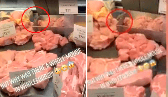 Captan a ratón comiendo carne en conocida cadena de supermercados de EE ...