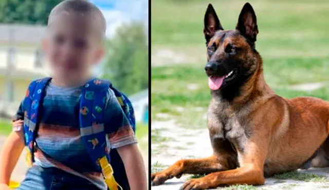 Viral | Niño casi pierde el brazo por ataque de perro: su papá lo salvó gracias a la serie Grey ...