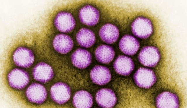 Misteriosa hepatitis grave en niños es vinculada a infecciones por ...