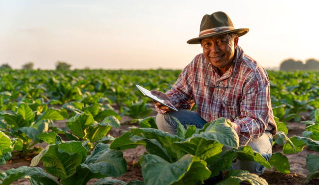 ¿Cuándo se hizo accesible el internet satelital para los peruanos de ...