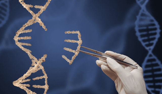 EE. UU. aprueba primera terapia de edición genética en el mundo: qué enfermedad trata y cómo ...