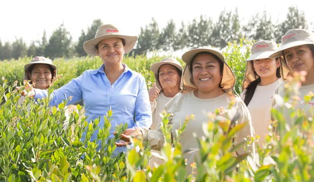 Danper sostiene el primer lugar del ranking MERCO ESG | Notas de Prensa ...