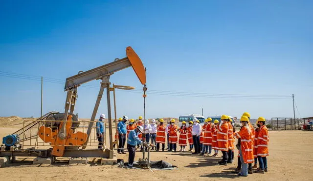 Lotes I y VI de Talara: Perupetro evaluará a postores que ocuparon ...