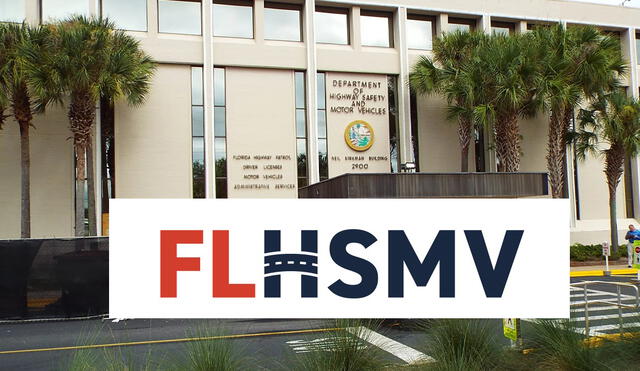 Licencia de conducir en Florida: lista completa de las oficinas del ...
