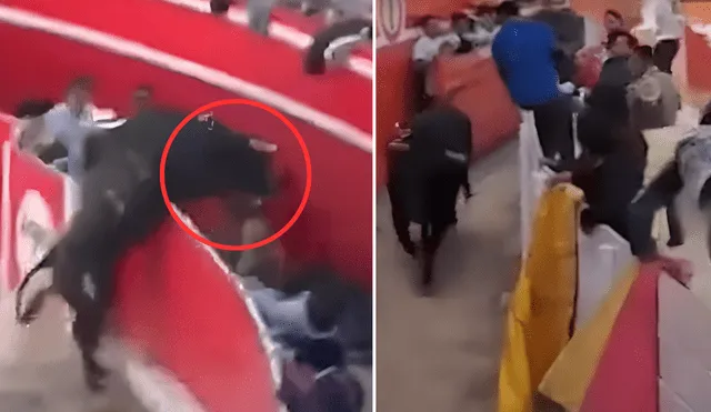 Caos en fiesta costumbrista: toro se escapa de ruedo y desata el pánico ...