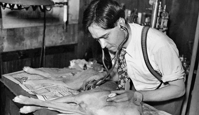 El siniestro caso de Robert Cornish, el científico que logró revivir ...