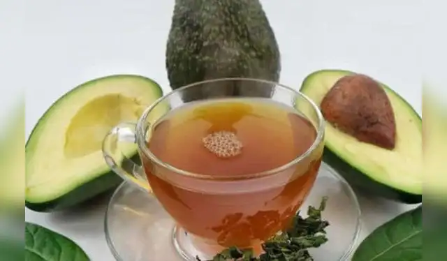 ¿Por qué nunca debes botar la semilla del aguacate? Estos son sus ...