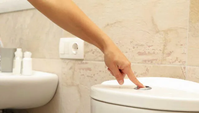 Investigación científica revela por qué nunca debes jalar la cadena del ...