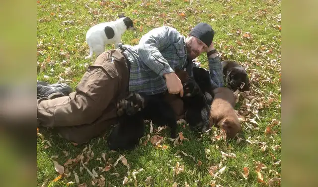Facebook viral: rescata a perros que sufren por los desastres naturales ...