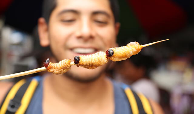Insectos: alimentos del futuro | Domingo | La República