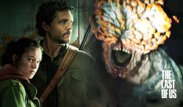 The Last Of Us Serie De Hbo Max El Hongo Que Causa El Virus Es Real