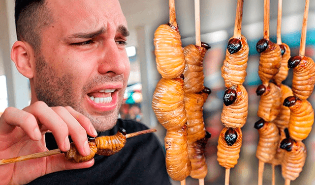 YouTube viral: youtuber peruano viaja a la selva para probar suri por ...