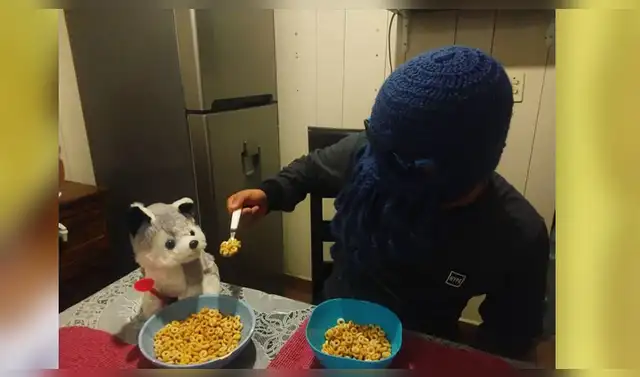 Facebook viral: el perro que come cereal con cuchara, el nuevo ...