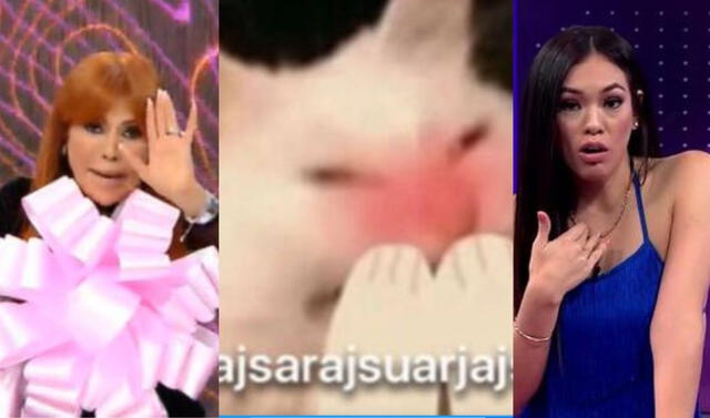 Magaly Medina: divertidos memes que dejó el enfrentamiento con Jazmín ...